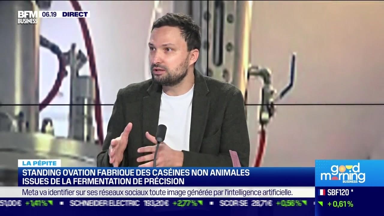 La pépite : Standing Ovation fabrique des caséines non animales issues de la fermentation de ...