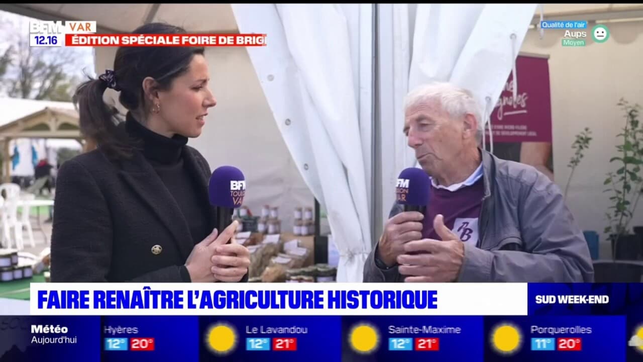 Foire de Brignoles: comment préserver l'agriculture historique de la ...