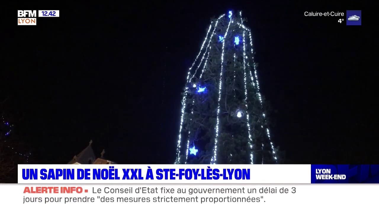 C'est à Sainte-Foy-lès-Lyon que se trouve le plus haut sapin de Noël de ...