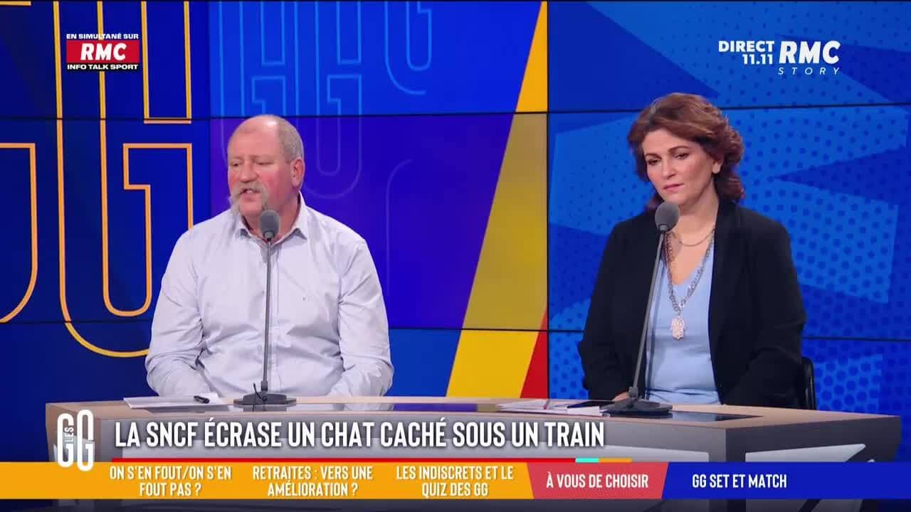 À vous de choisir : La SNCF écrase un chat caché sous un train - 23/01