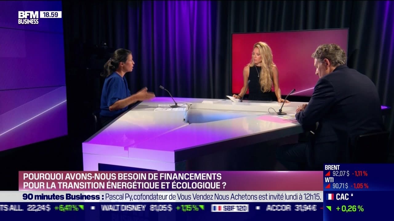 Hors-Série Les Dossiers BFM Business : Comment les fonds publics stimulent-ils les financements ...