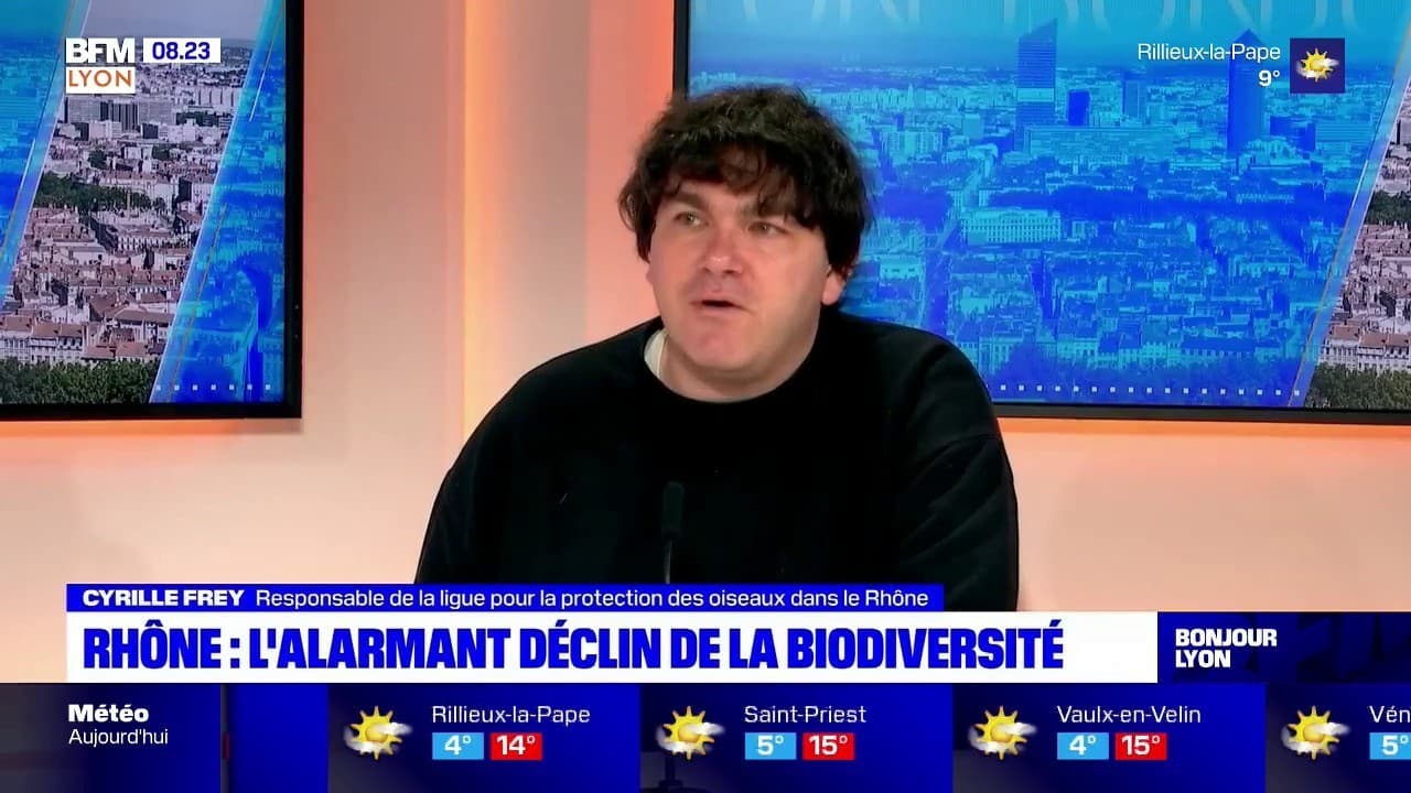 Bonjour Lyon: l'interview de Cyrille Frey, responsable de la ligue pour ...