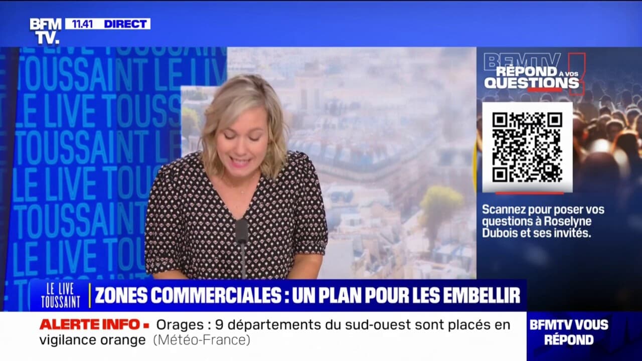 Zones commerciales: quel plan pour les embellir? BFMTV répond à vos ...
