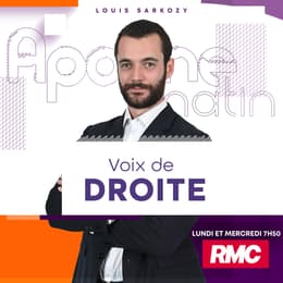 Le Président payé au Smic, "du gauchisme démagogique" pour Louis ...