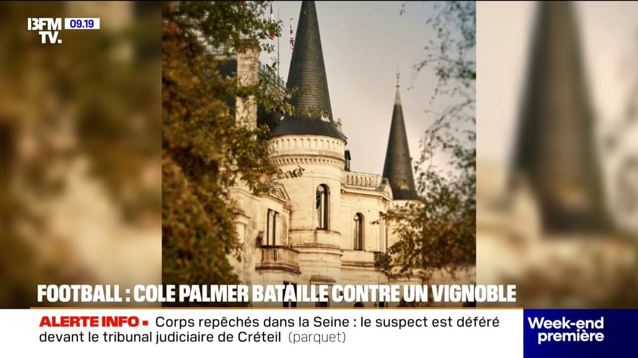 L'improbable bataille entre le footballeur de Chelsea Cole Palmer et un ...