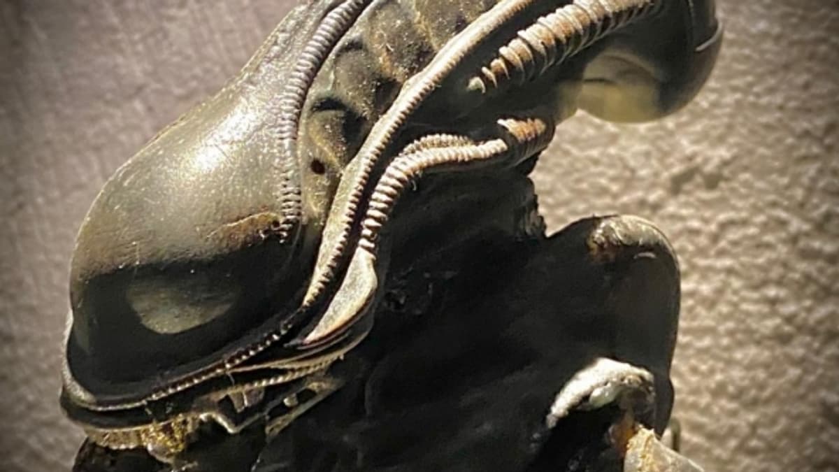 Crâne d'"Alien" et vaisseaux spatiaux: une exposition dévoile les ...