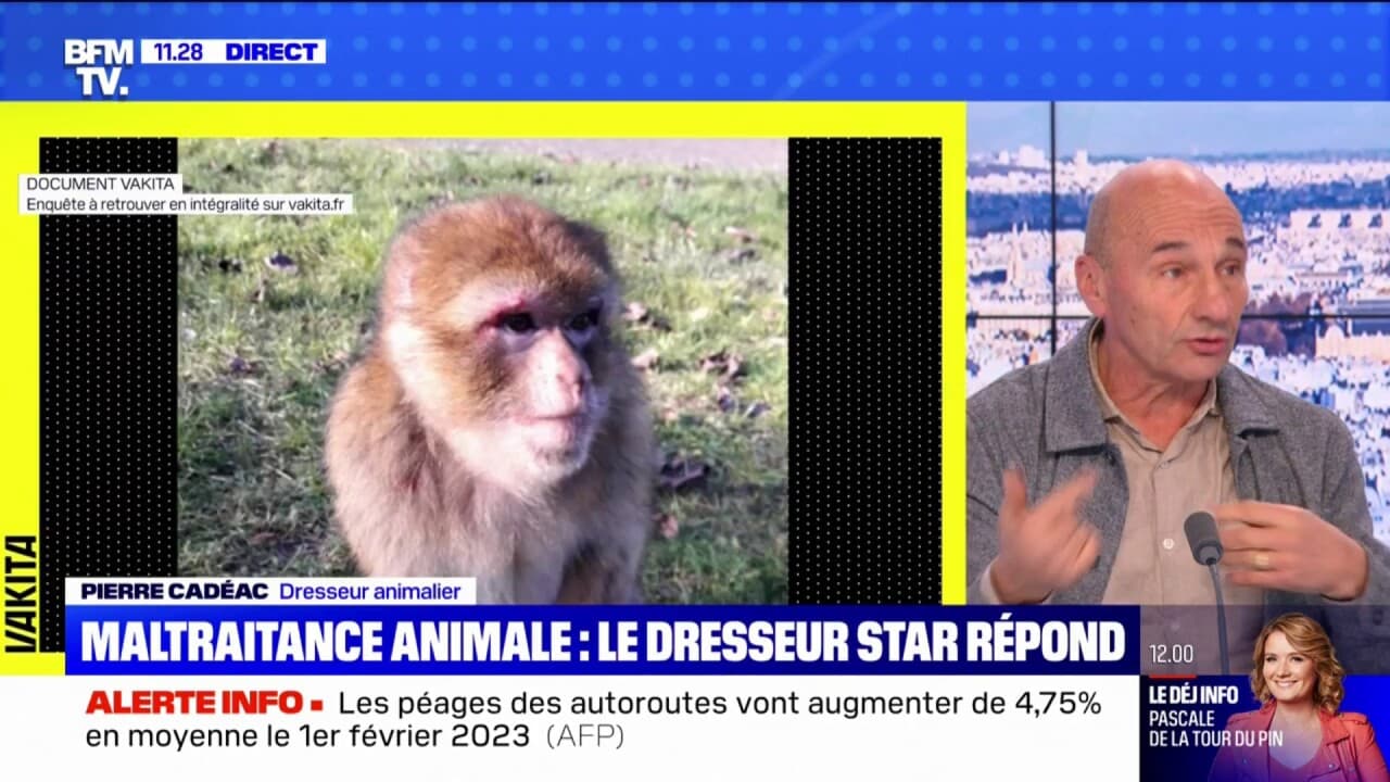 Pierre Cadéac accusé de maltraitance animale: le dresseur se défend de ... Pierre Cadéac accusé de maltraitance animale: le dresseur se défend de ...