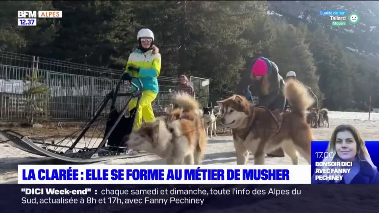 Hautes-Alpes: une femme se forme au métier de musher dans la vallée La ...