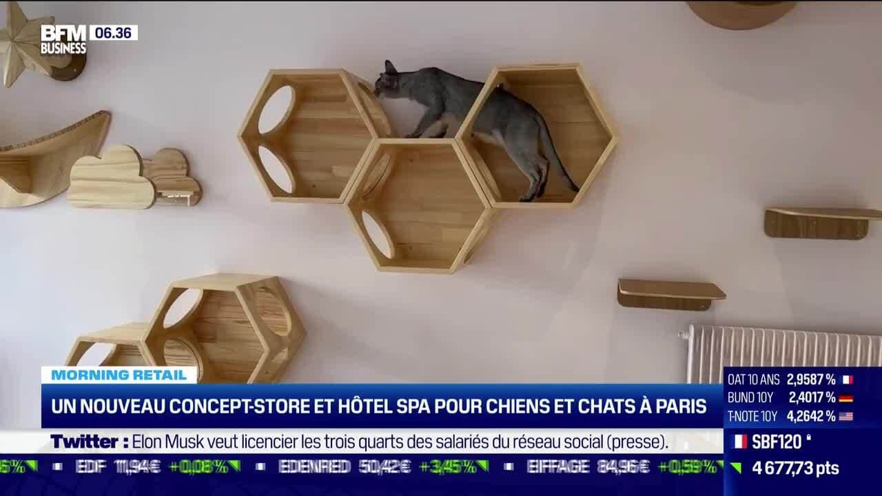 Morning Retail : Un nouveau concept-store et hôtel spa pour chiens et ...
