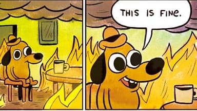 L'origine de vos mèmes préférés (3/6): "This is fine", le chien tout ...