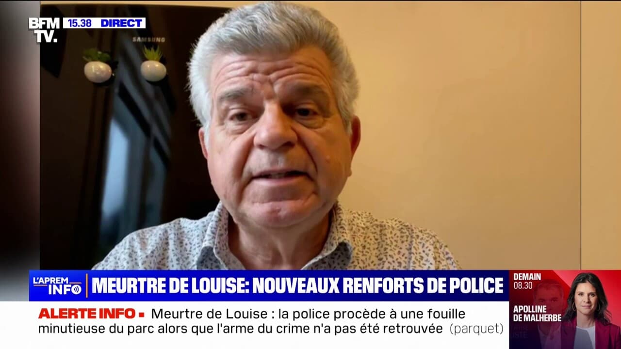 Meurtre de Louise en Essonne: ce que recherchent les enquêteurs dans le bois des Templiers