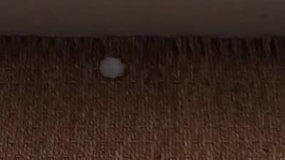 De la grêle dans Paris - Témoins BFMTV