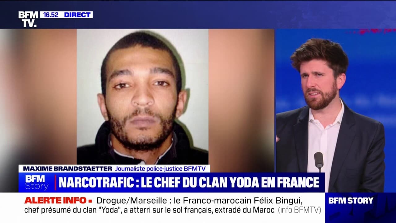Narcotrafic: Félix Bingui, chef présumé du clan marseillais Yoda, est ...
