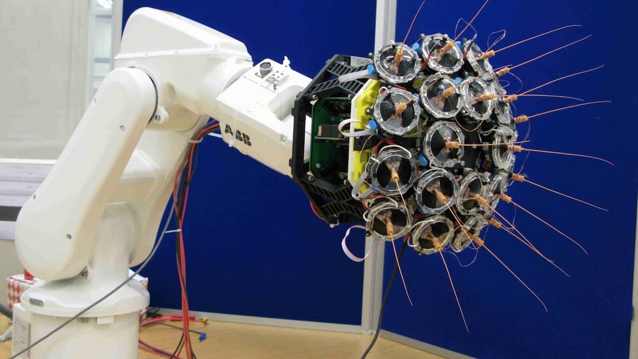 Des moustaches permettent aux robots de "sentir" leur environnement