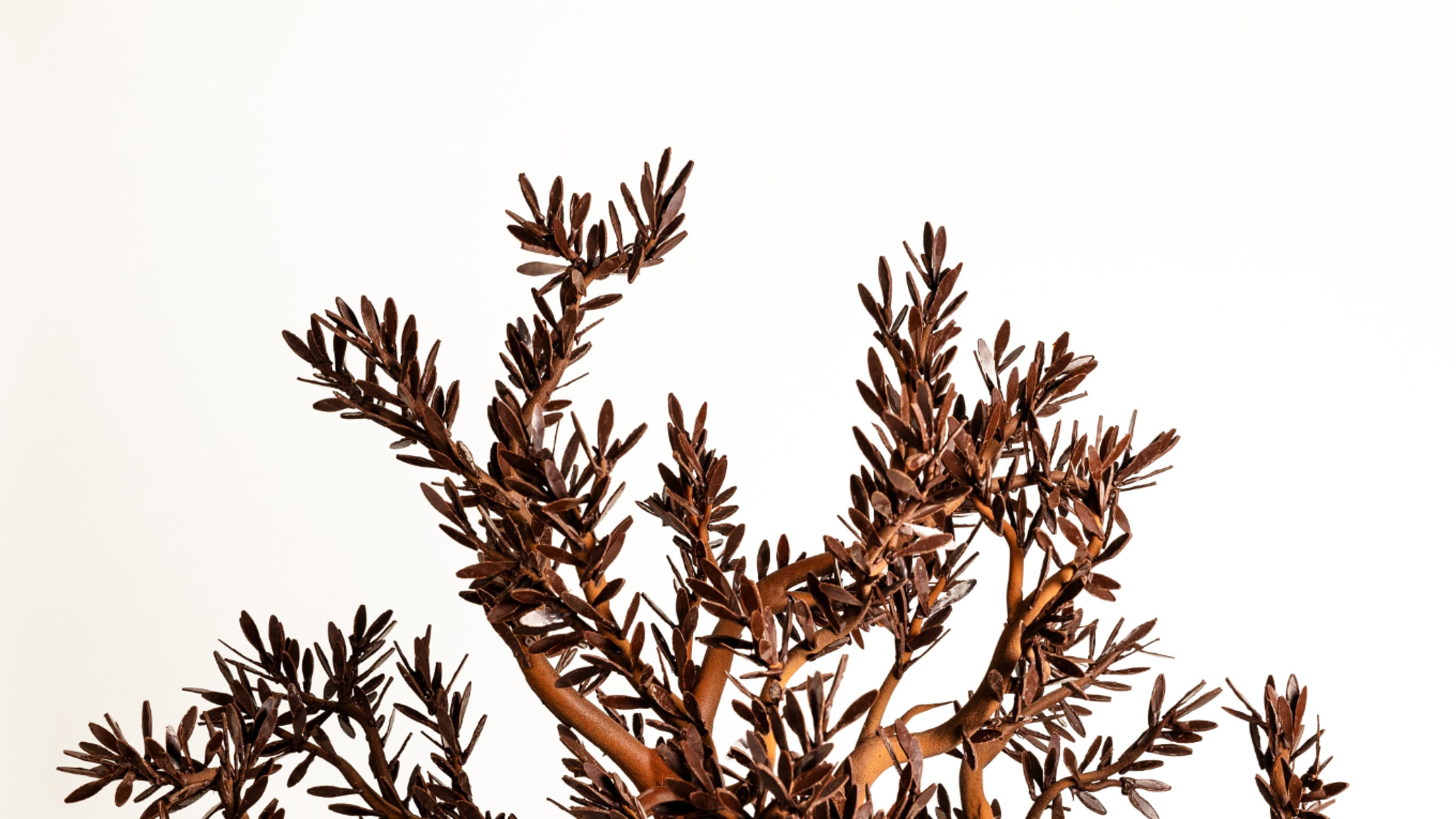 Pâques: de Ducasse à Pierre Hermé, zoom sur neuf créations sucrées à ne pas manquer