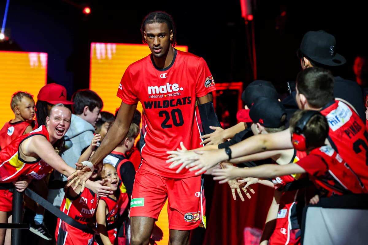 Risacher ou Sarr, qui est le plus fort? Tout savoir sur le profil des ...