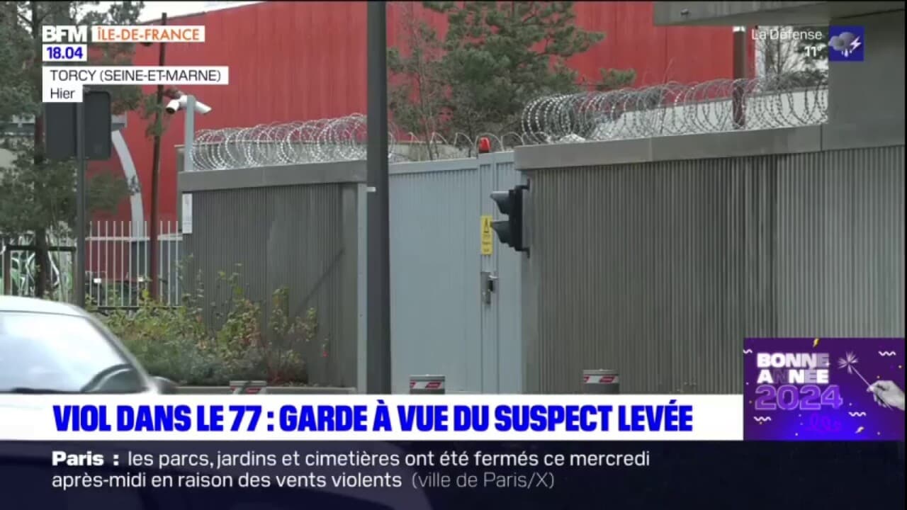 Seine-et-Marne: la garde à vue de l'homme suspecté du viol d'une septuagénaire levée