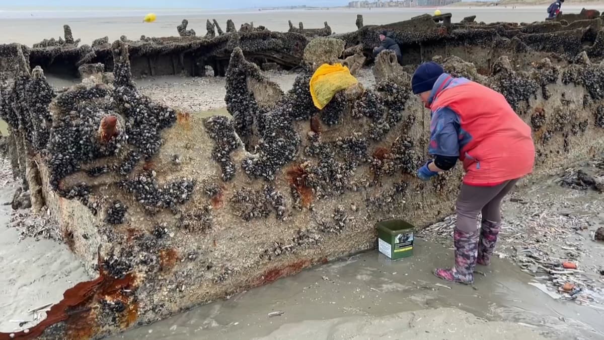 Grandes marées: des épaves de navires de plus de 80 ans ont refait ...