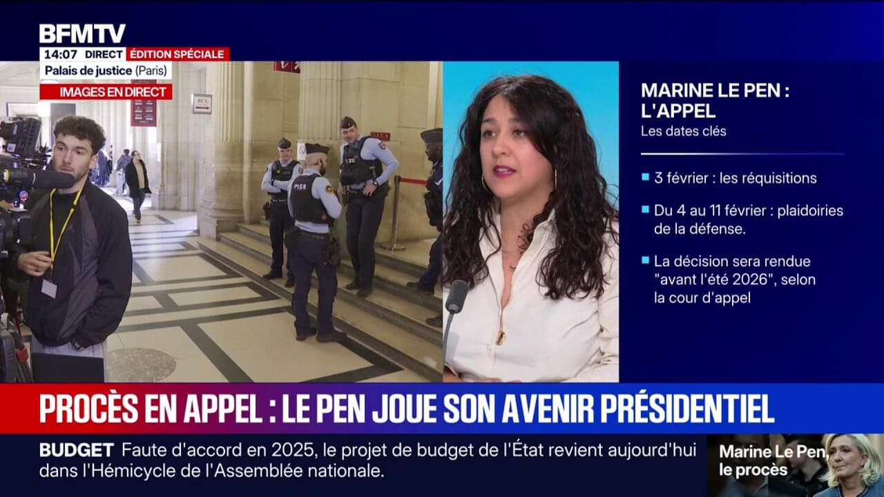 Affaire des assistants parlementaires: quelle stratégie va adopter ...