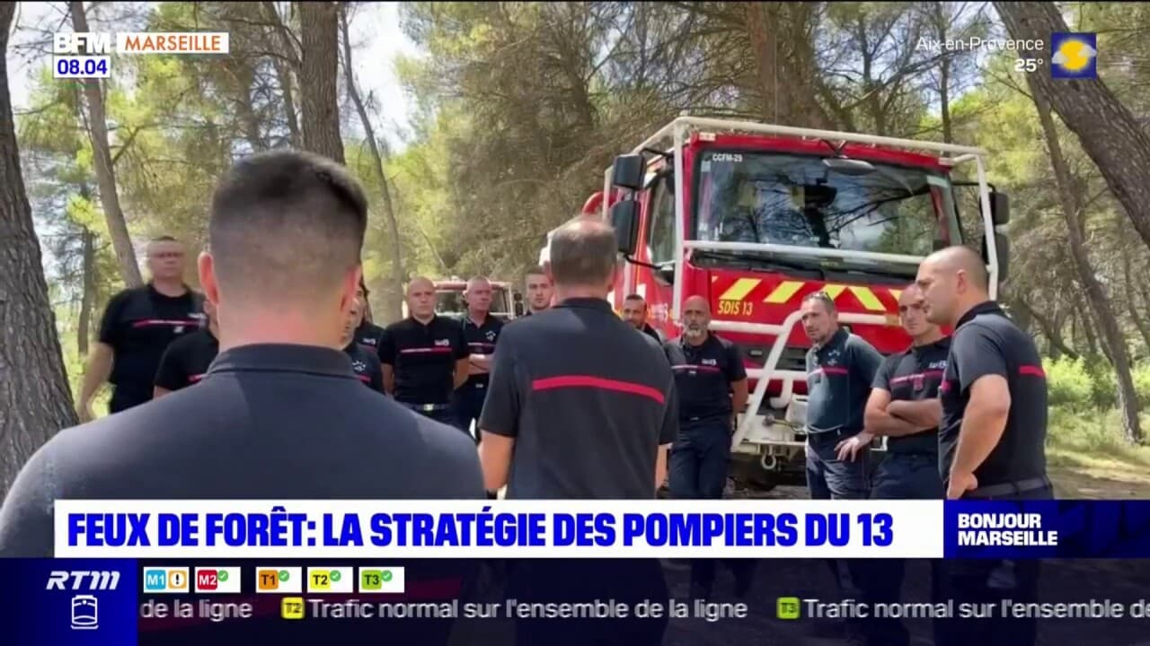 Bouches-du-Rhône: quelle stratégie des pompiers face aux risques de feux de forêt?