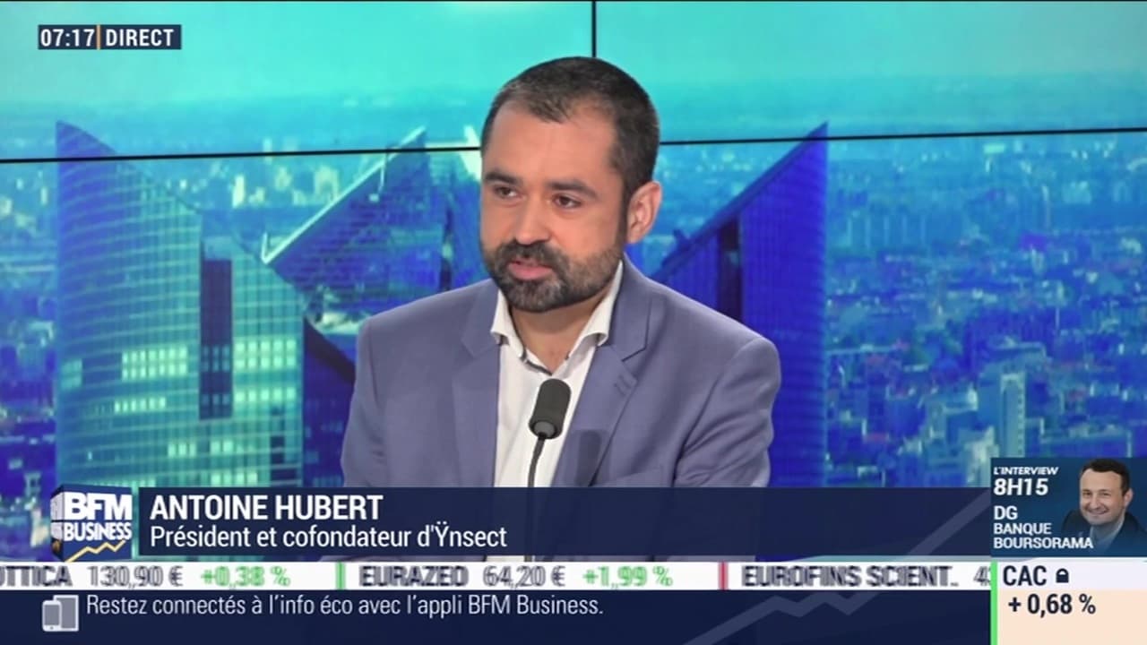 Ynsect veut faire des insectes une ressource pour l'alimentation des ...