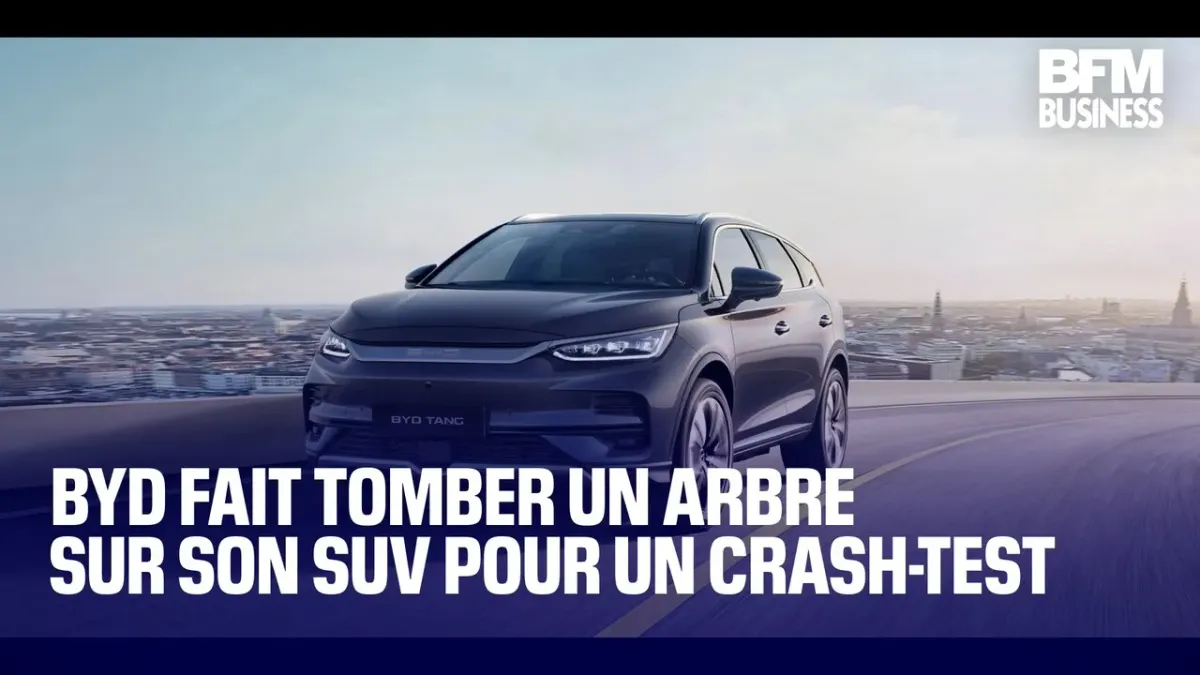 BYD fait tomber un arbre sur son SUV pour un crash-test