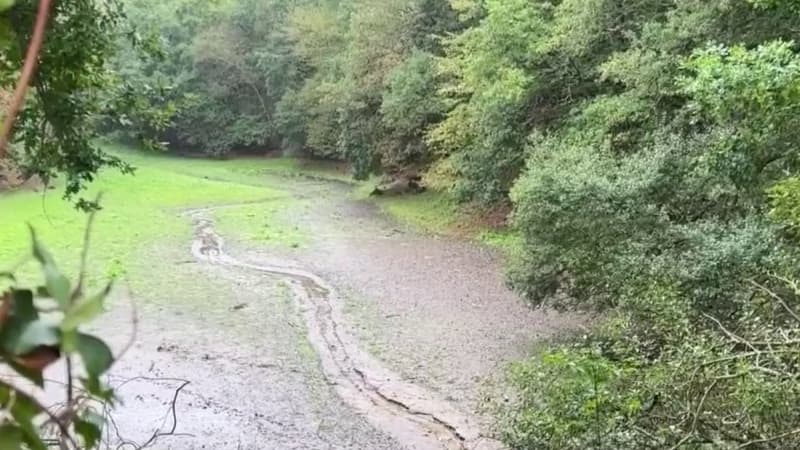 Malgré les récentes pluies, fort risque de pénurie d'eau en Bretagne ...