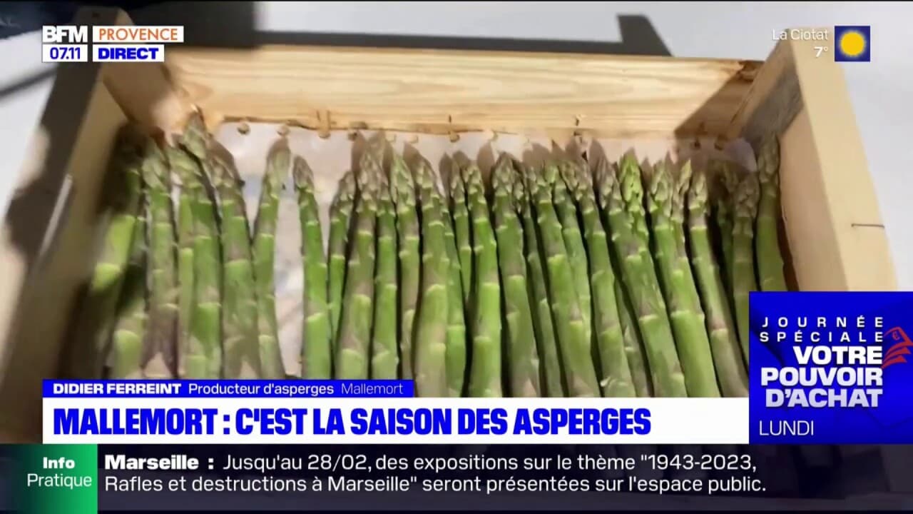 Mallemort: la saison des asperges se prépare