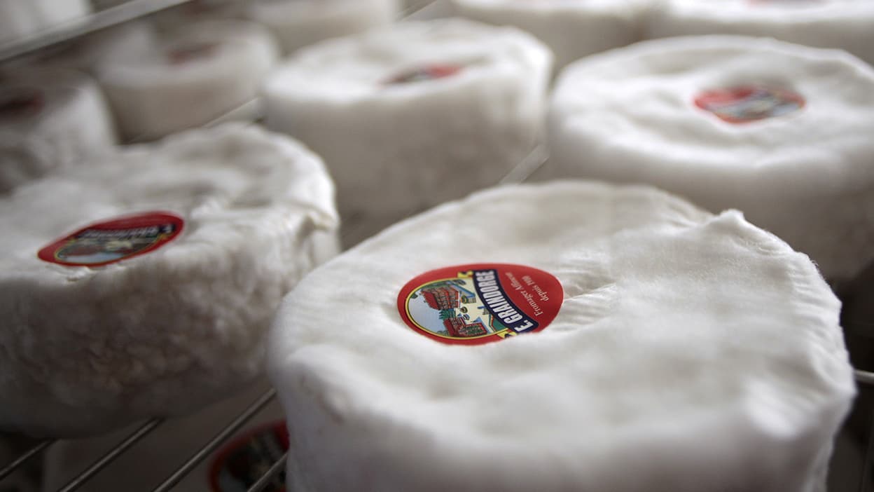 Le label camembert "de Normandie" menacé? Les fromagers se mobilisent