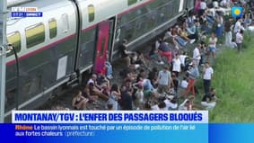 TGV bloqué à Montanay : L'enfer des passagers