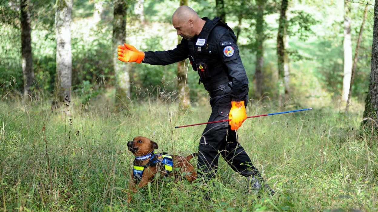 Aude: six jeunes filles retrouvées grâce à une chienne de la gendarmerie Aude: six jeunes filles retrouvées grâce à une chienne de la gendarmerie