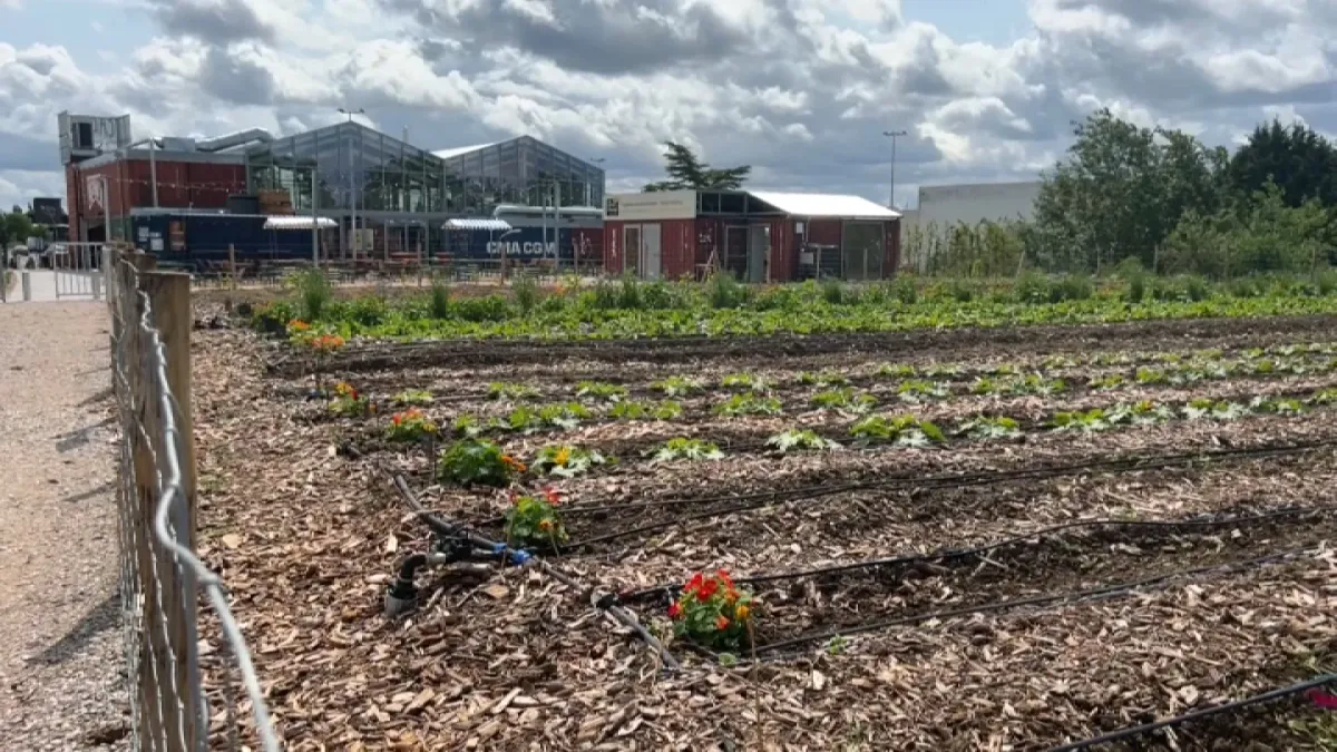 "Comme si on cuisinait avec le jardin": Le Cageot, un food court en ...